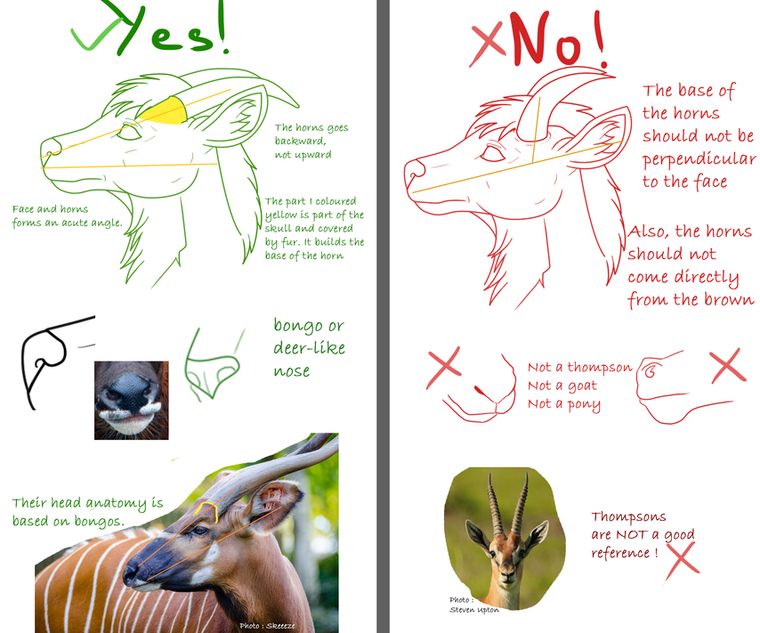 Design details - Refsheet.net