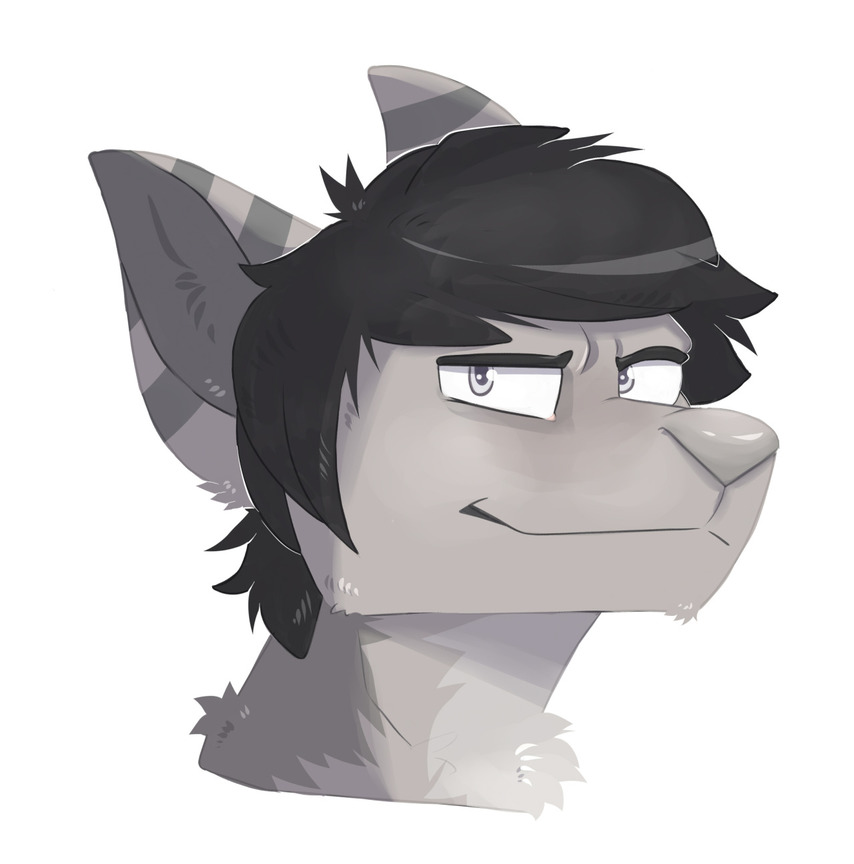 Image of Thrash - Refsheet.net