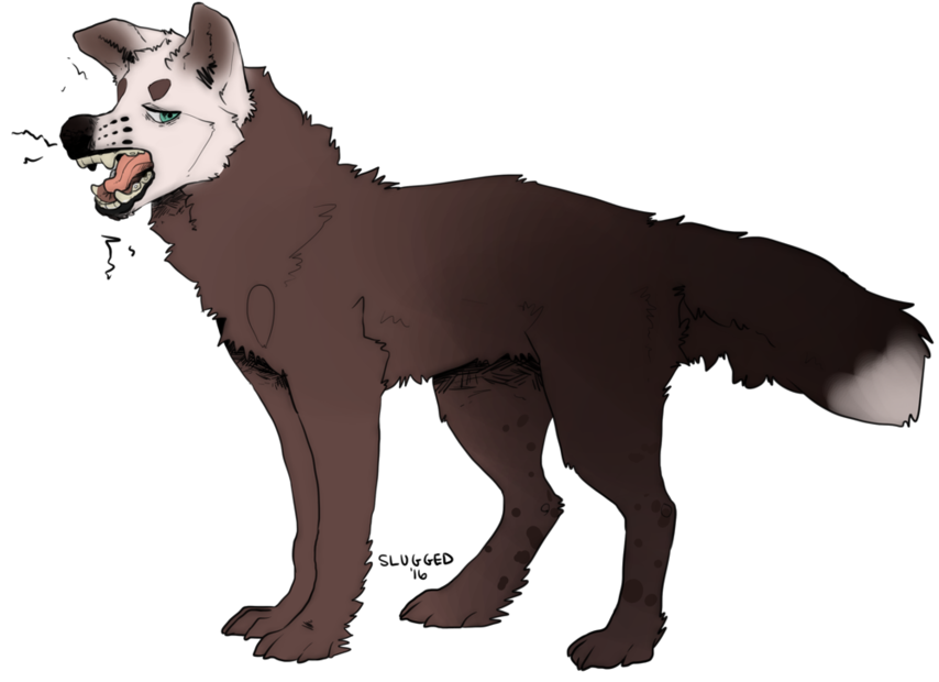 Image of Ezra - Refsheet.net