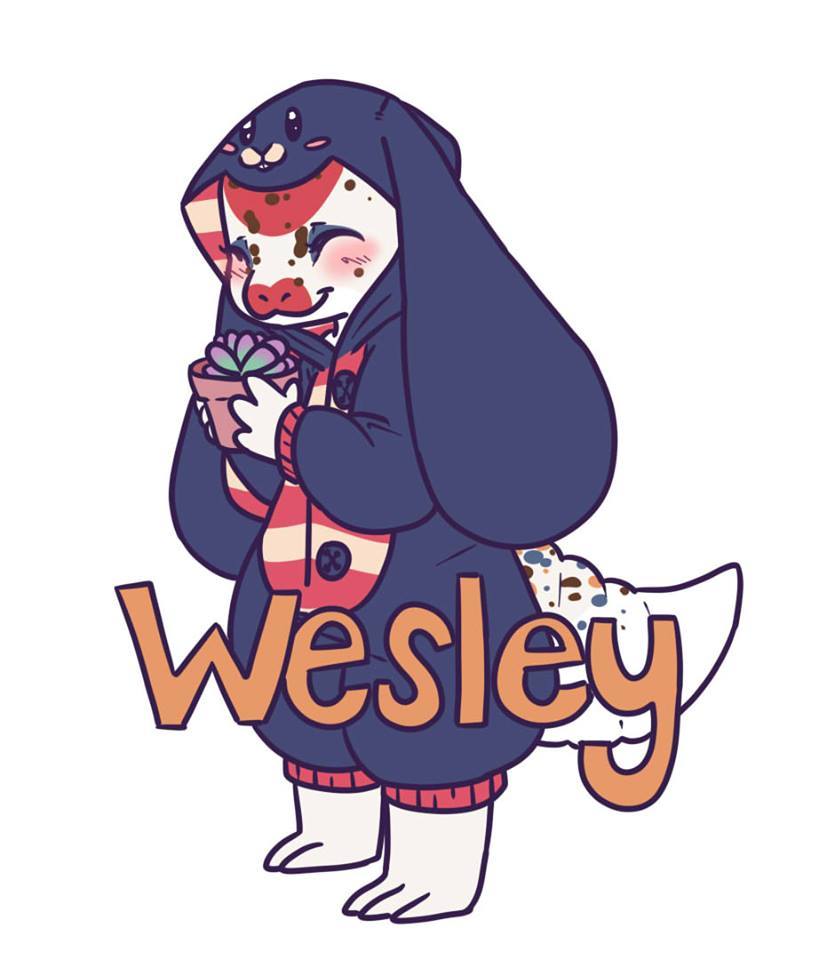 Image of Wesley (Fursona) - Refsheet.net
