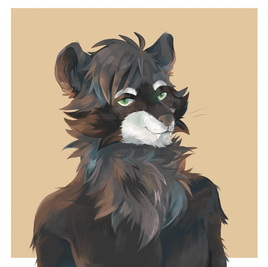 Image of Ryoga - Refsheet.net