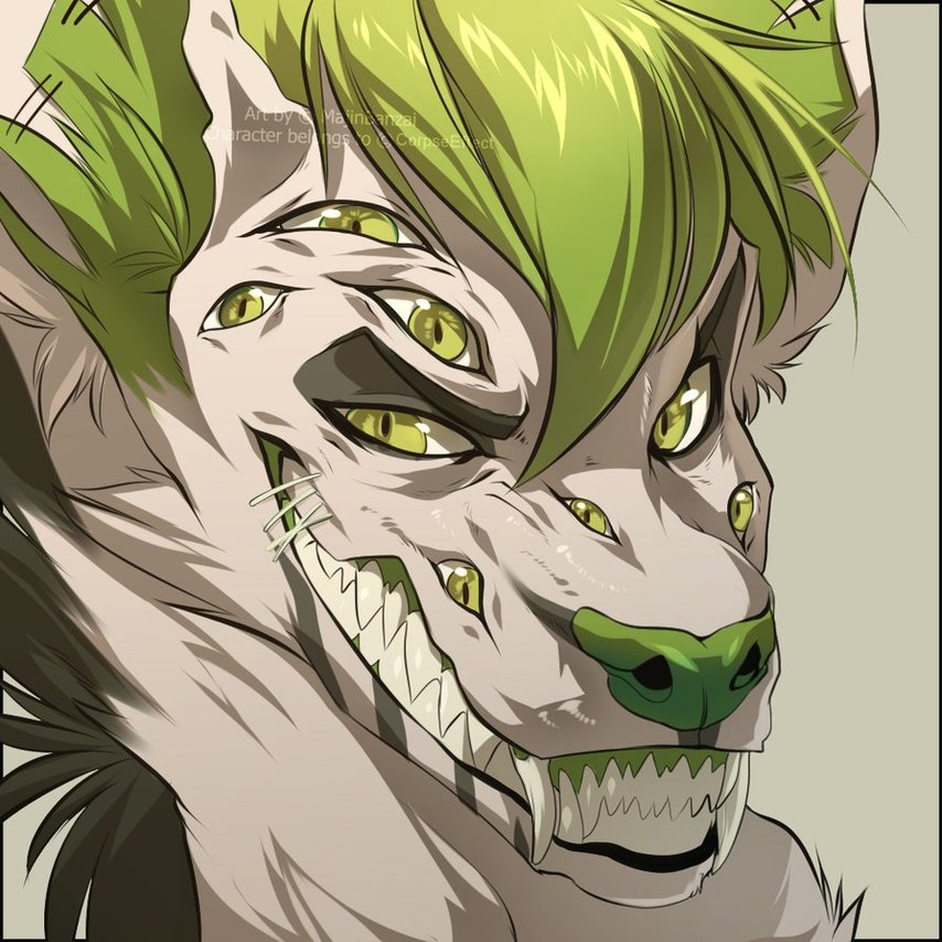 Image of Solomon - Refsheet.net