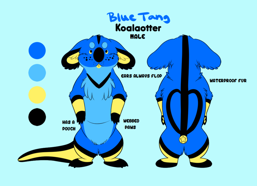 Image of Blue Tang - Refsheet.net