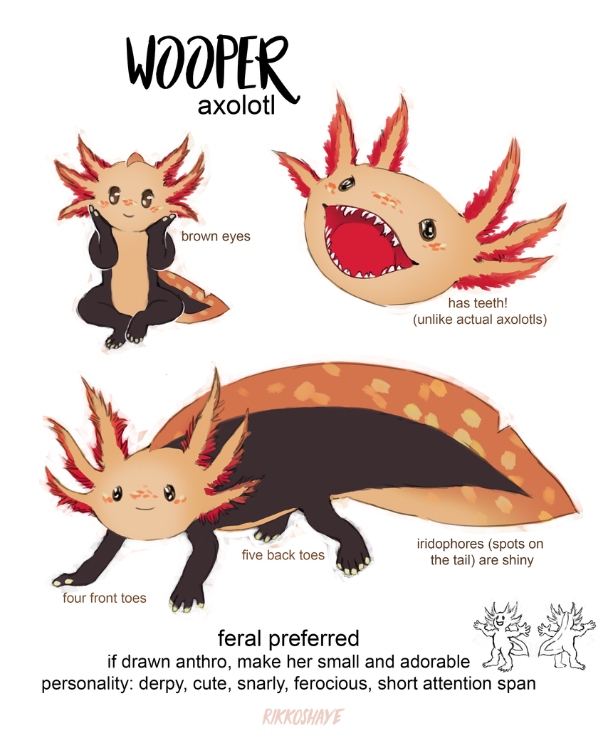 Ajolote Wooper Wooper By ActuallyCJ On Newgrounds