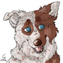 Image of Maple - Refsheet.net