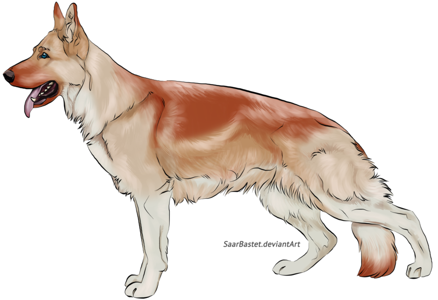 Image of Dominic Eldridge - Refsheet.net