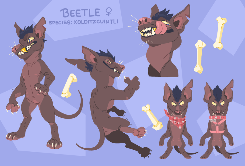 Image of Beetle - Refsheet.net