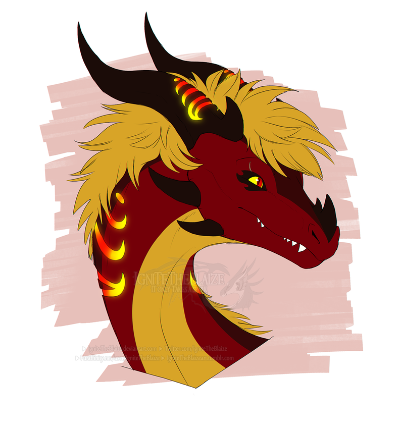 Blaize - Refsheet.net