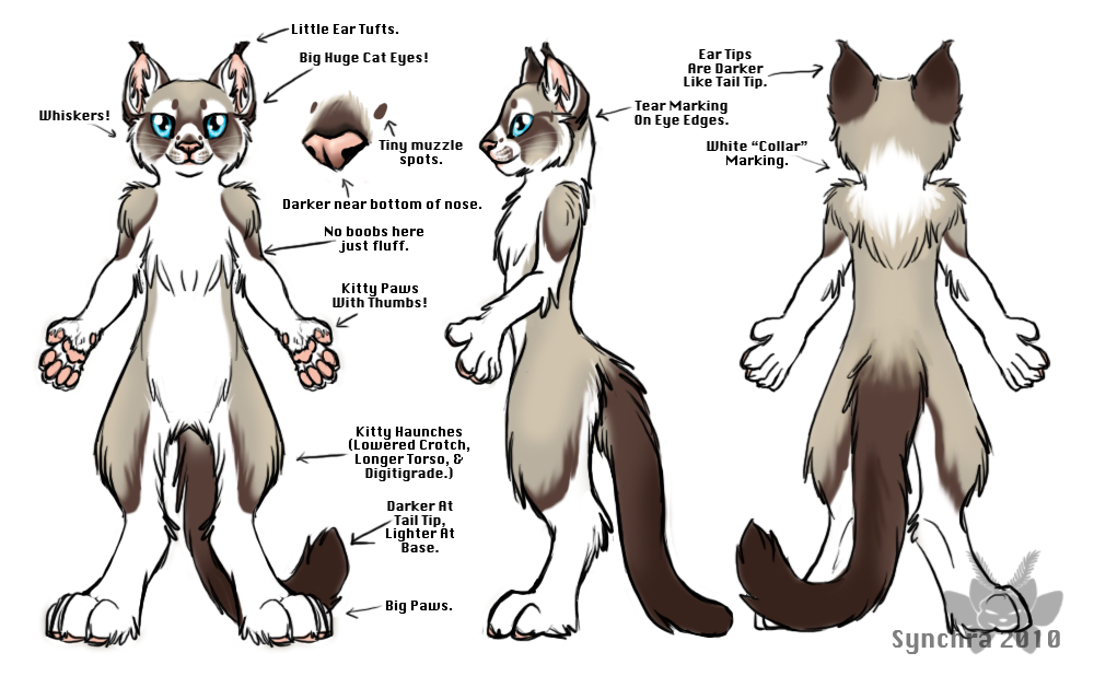 Cat Ref Sheet