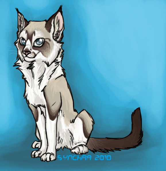 Kitty Sit Pretty - Refsheet.net