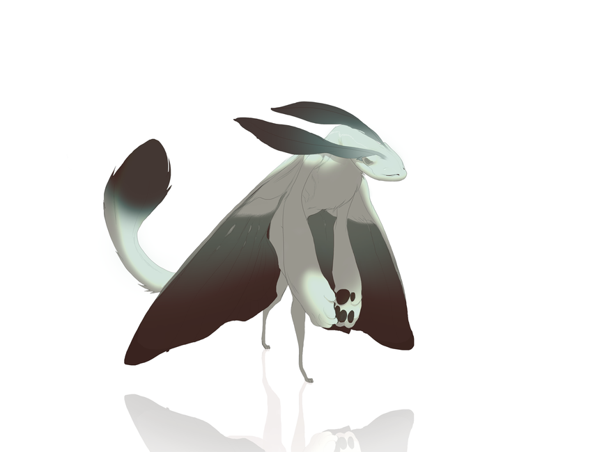 Image of Mothcat - Refsheet.net