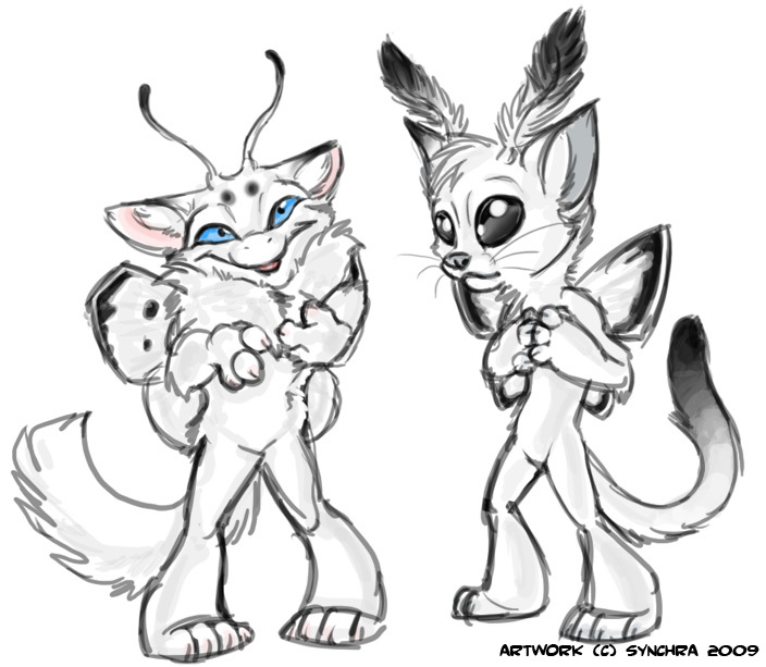 Image of Mothcat - Refsheet.net