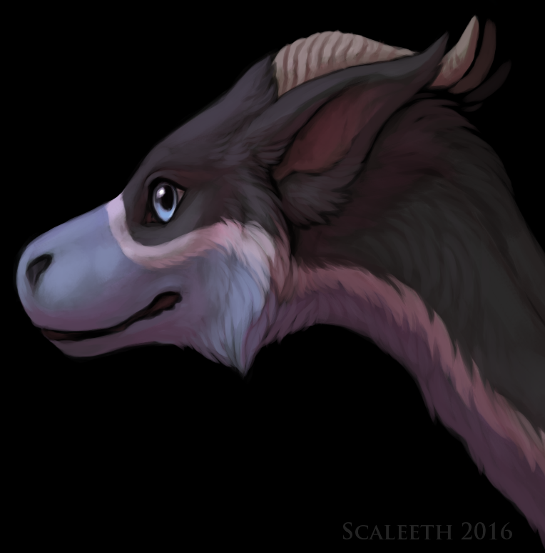 Image of Audrea - Refsheet.net