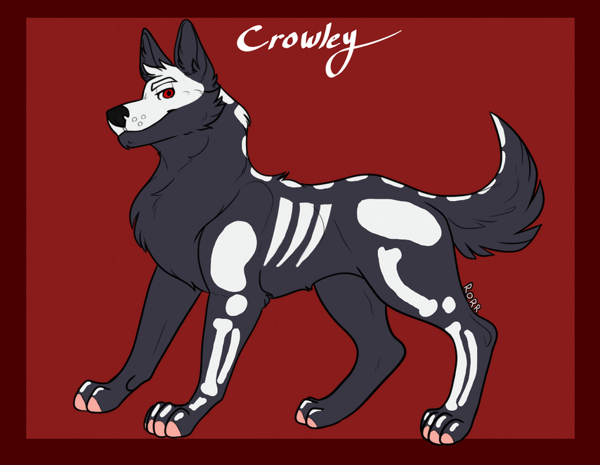 Image of Crowley - Refsheet.net