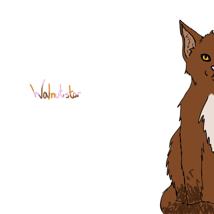 Image of Walnutstar - Refsheet.net