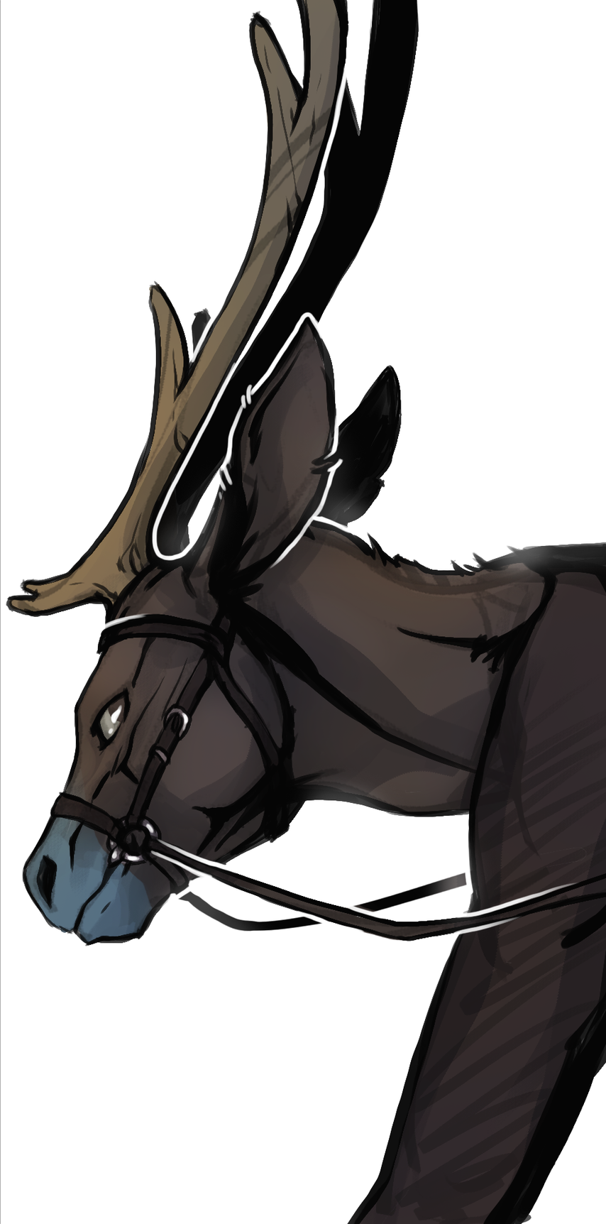 Image of Kuma - Refsheet.net