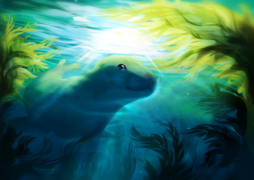 Image of Esp - Refsheet.net