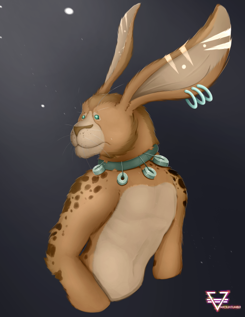 Image of Blaze - Refsheet.net