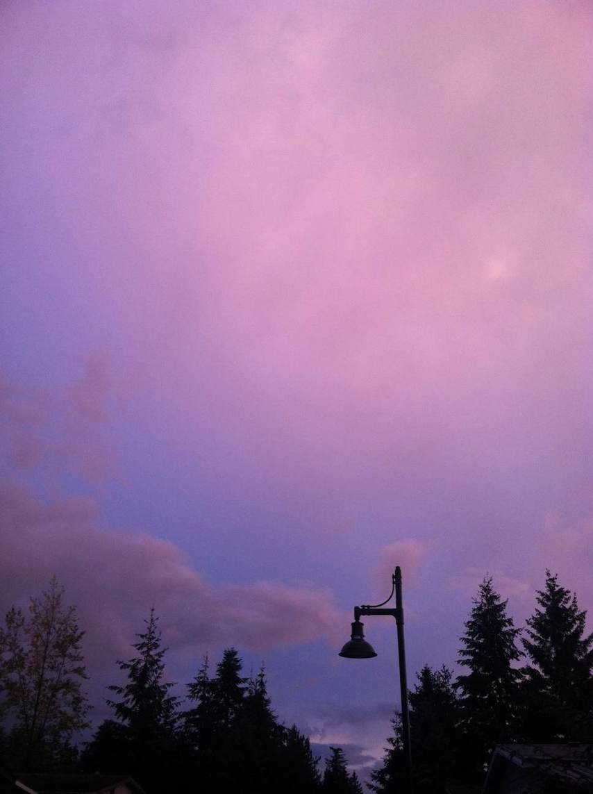 Image of Benjamin McCray - Refsheet.net