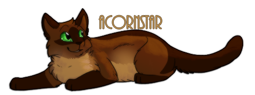 Image of Acornstar - Refsheet.net