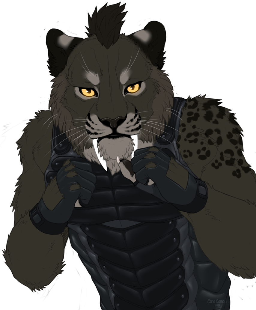 Image Of Ryuga Refsheet Image Of Ryuga Refsheet