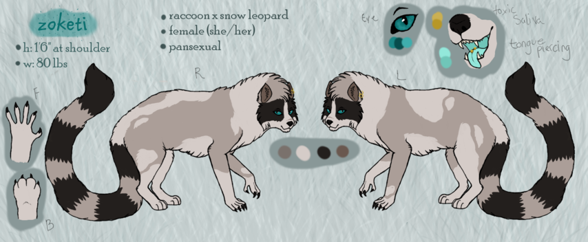 Image of Zoketi - Refsheet.net