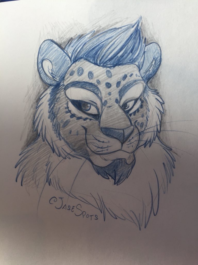 Image of Jase-Art collection - Refsheet.net
