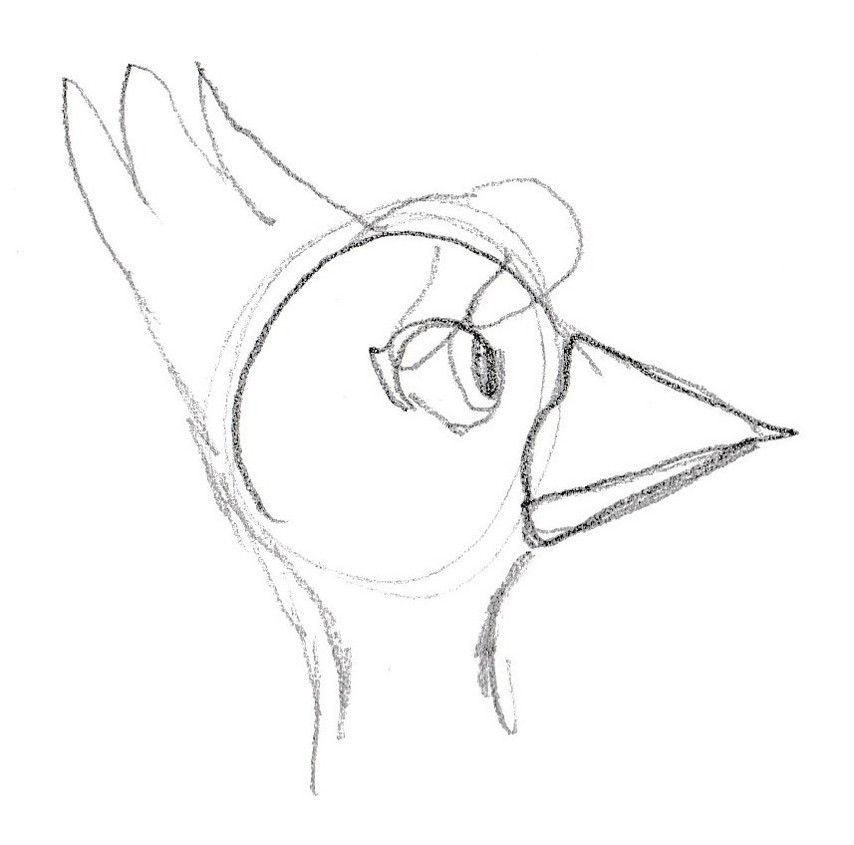 Image of Birdie Noir - Refsheet.net