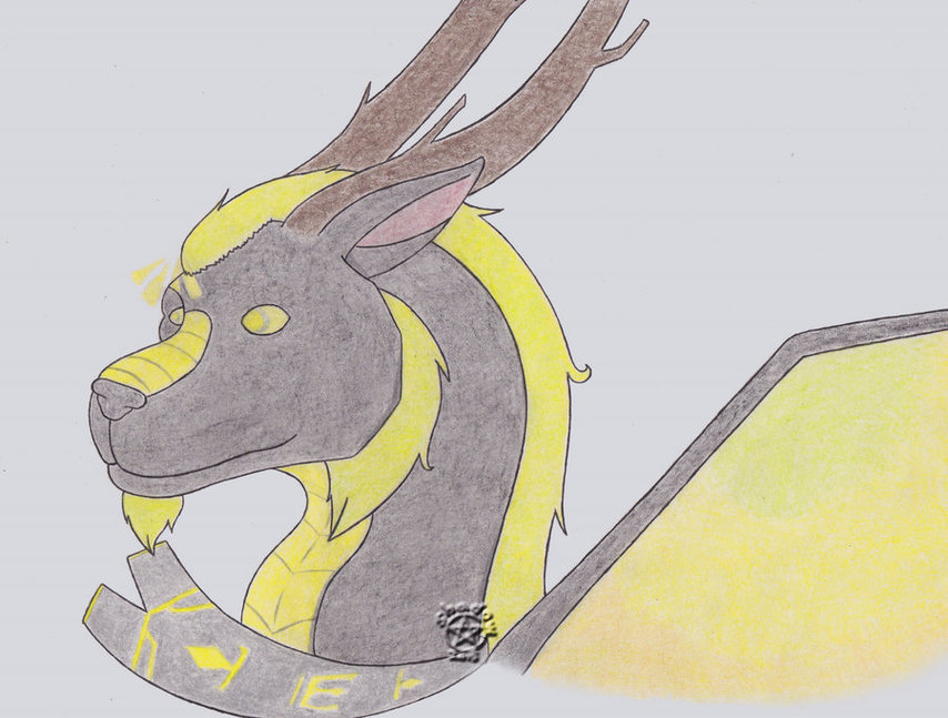 Image of Dragga - Refsheet.net