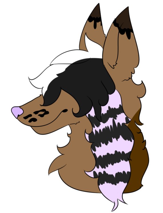 Image of Tyler/Ty - Refsheet.net