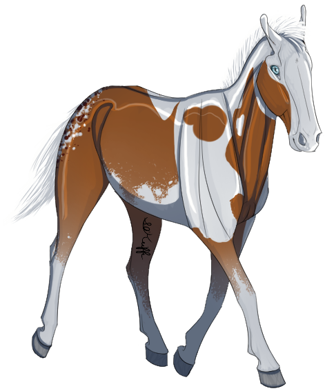 Image of Acacia - Refsheet.net