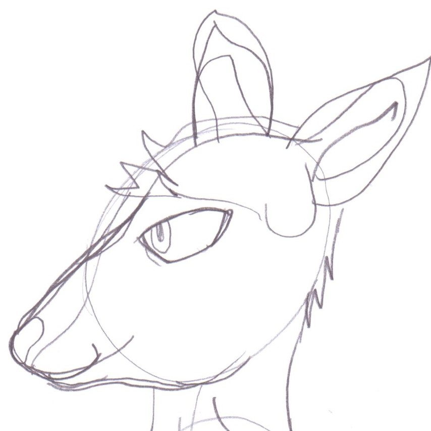 Image of Janice Mortan - Refsheet.net