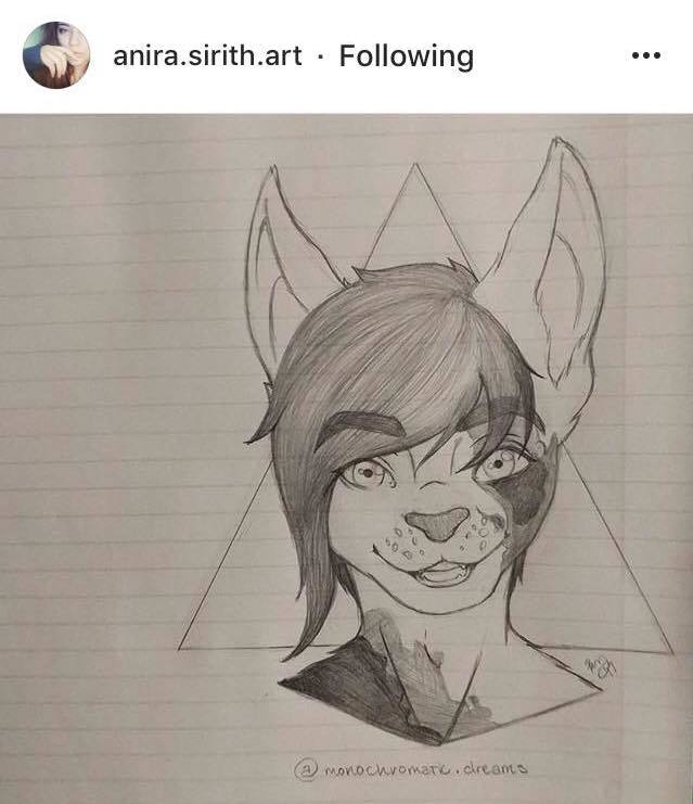 Image of Cyten - Refsheet.net