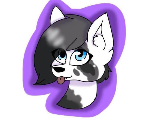 Image of Cyten - Refsheet.net