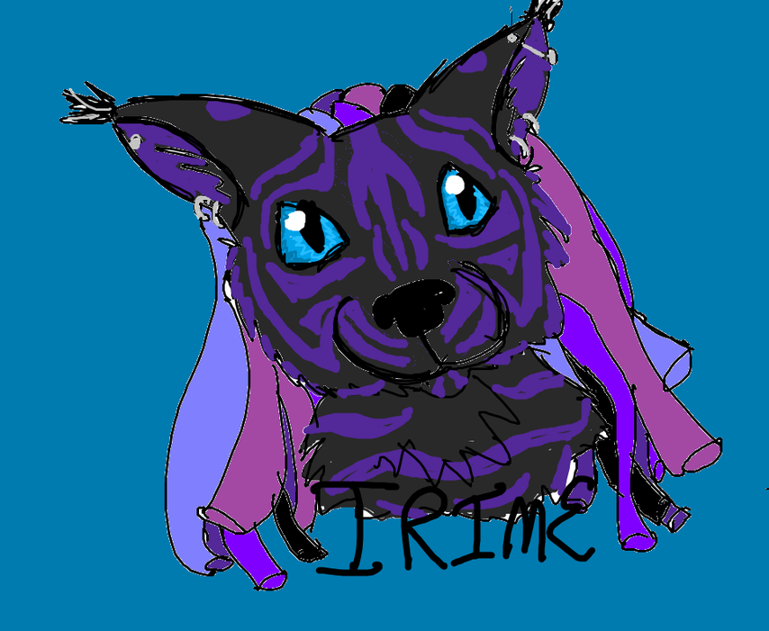 Image of Irime - Refsheet.net