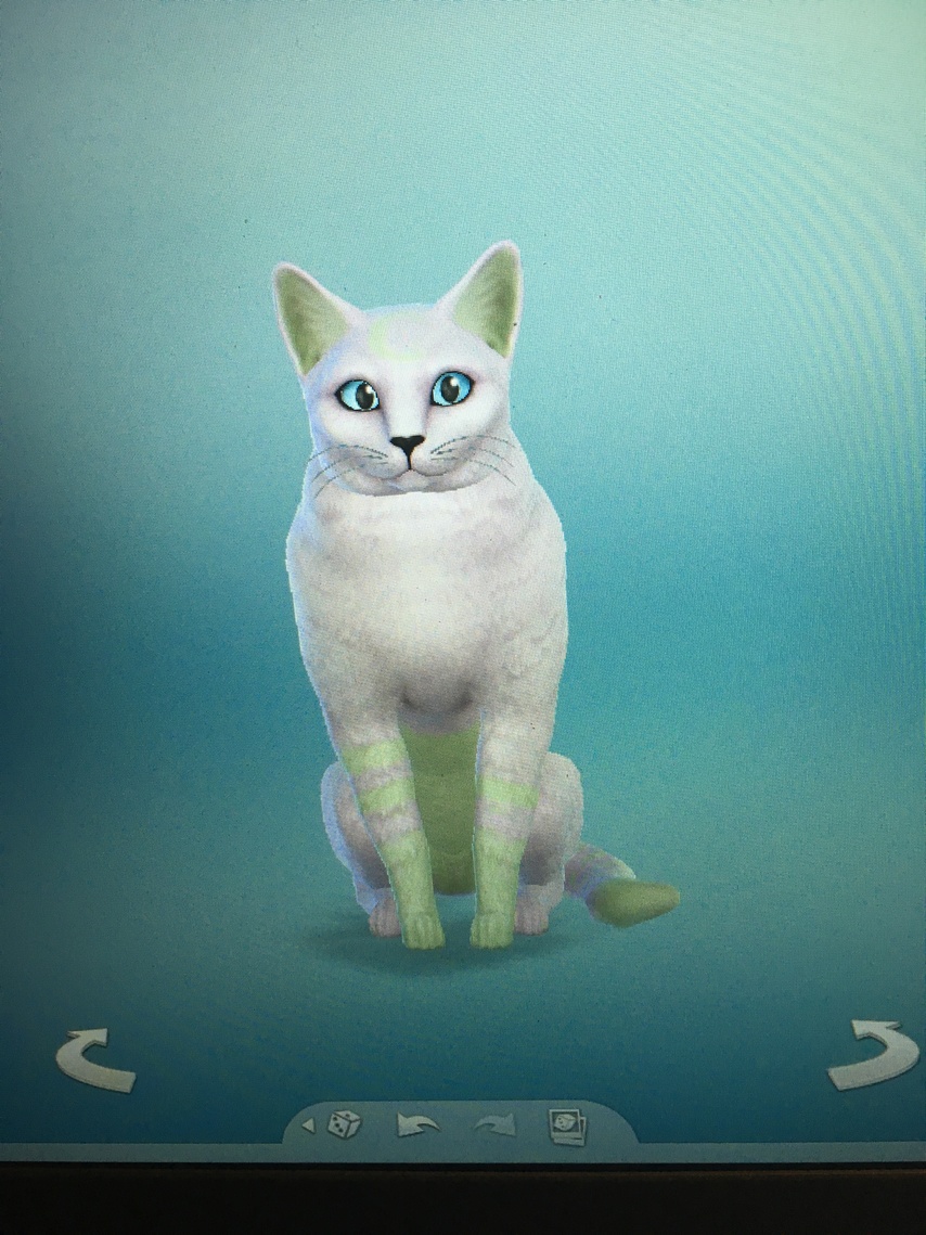 Image of Kiki - Refsheet.net