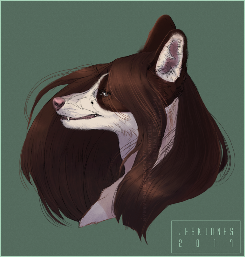 Image of Foxy - Refsheet.net