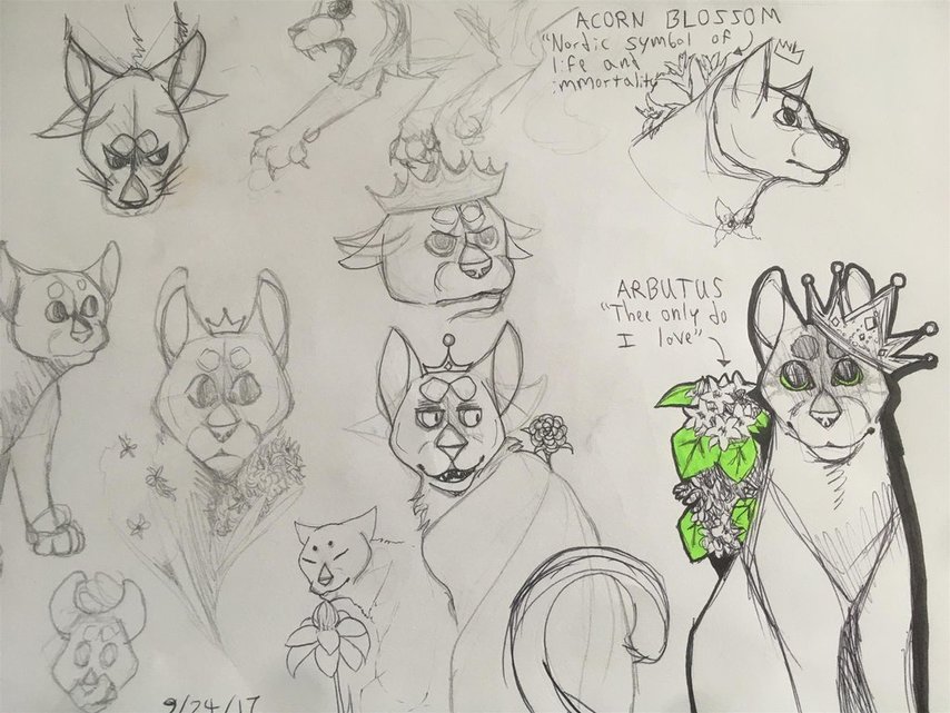 Image of Acornstar - Refsheet.net