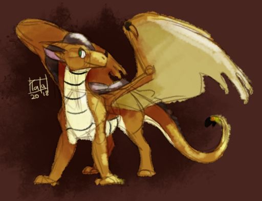 Image of Raccoon - Refsheet.net