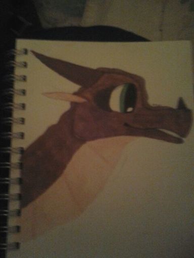 Image of Raccoon - Refsheet.net