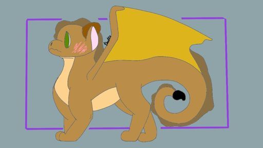 Image of Raccoon - Refsheet.net