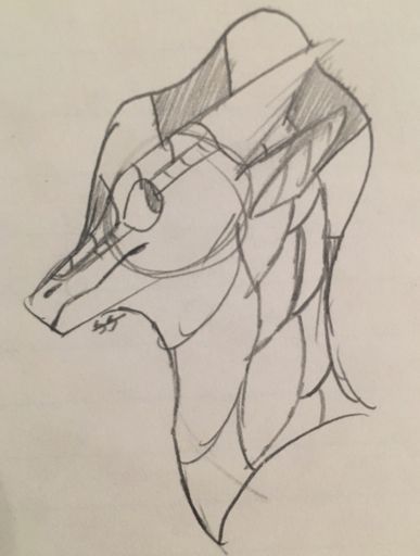 Image of Raccoon - Refsheet.net