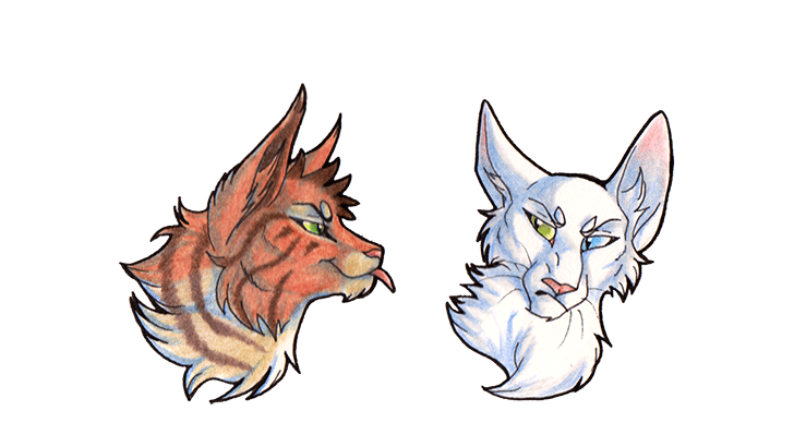 Image of Firebounce - Refsheet.net