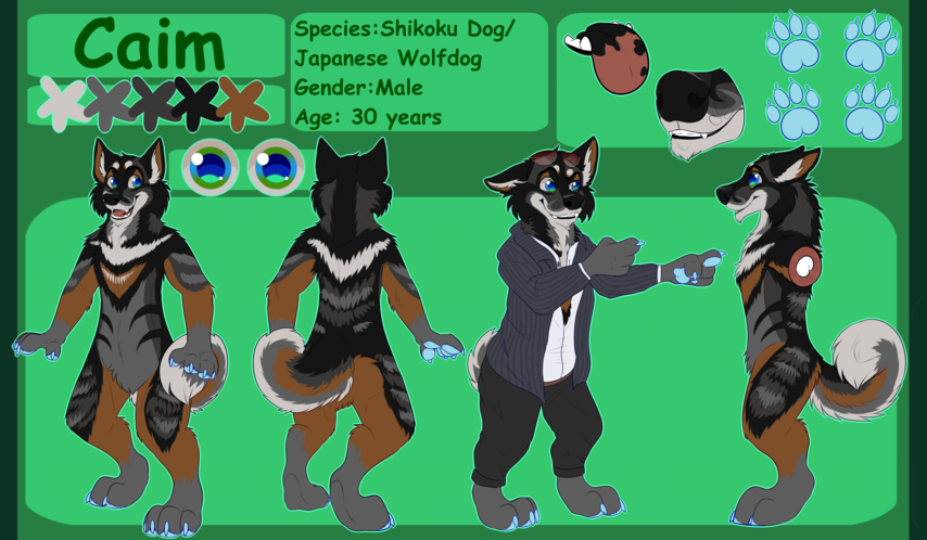 Image of Caim - Refsheet.net