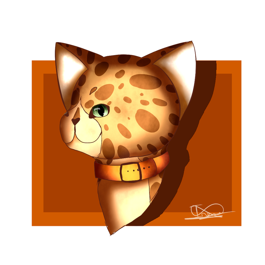 Image of Cherry - Refsheet.net