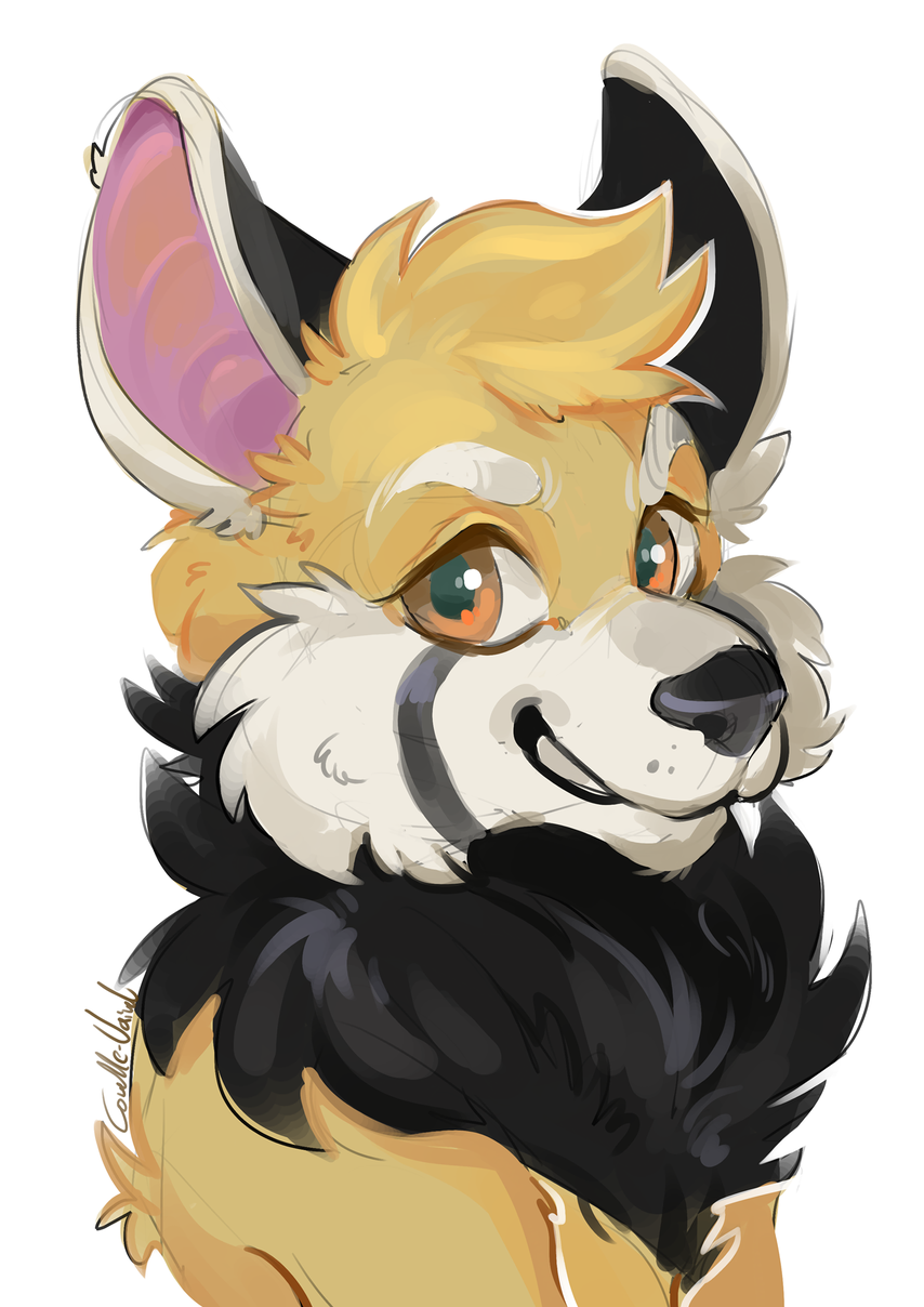 Image of Tanner The Red Panda - Refsheet.net