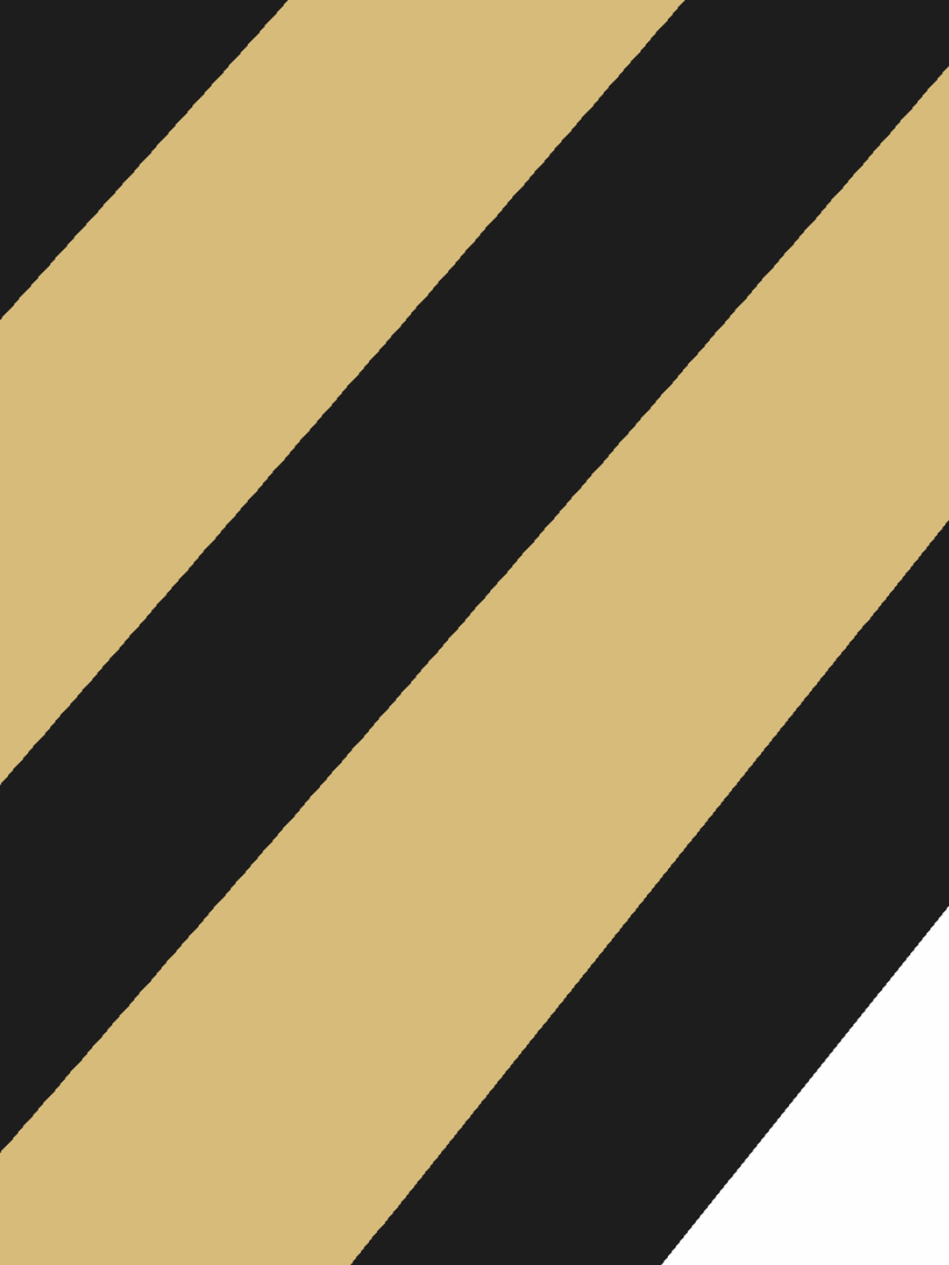 Image of Tanner The Red Panda - Refsheet.net