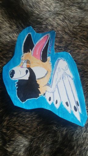 Image of Tanner The Red Panda - Refsheet.net