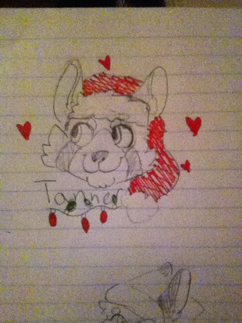 Image of Tanner The Red Panda - Refsheet.net