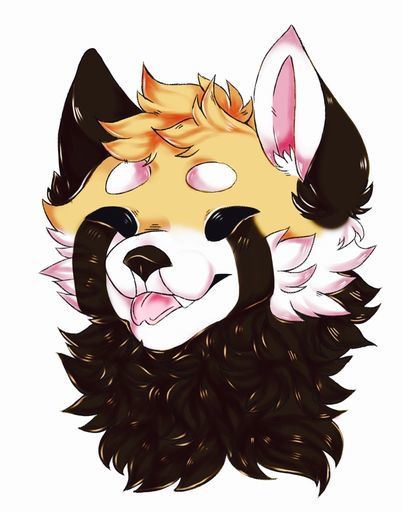 Image of Tanner The Red Panda - Refsheet.net